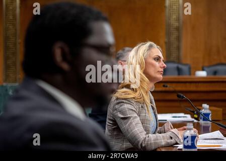 Jennifer Mascott, Professore aggiunto di diritto e Codirettore ...