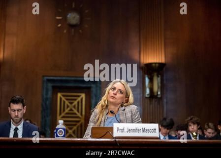 Jennifer Mascott, Professore aggiunto di diritto e Codirettore ...