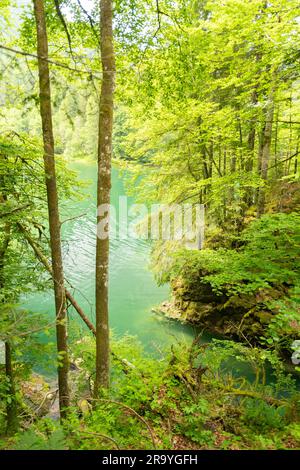 Waegital, Canton Svitto, Svizzera, 13 giugno 2023 paesaggio rurale da ...