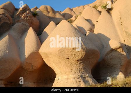 I Badlands sono terreni asciutti formati da rocce sedimentarie più ...