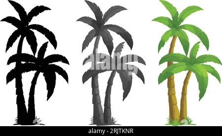 Diversi tipi di palme esotiche Immagine e Vettoriale - Alamy
