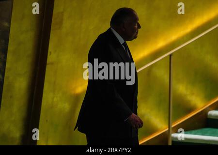 Sameh Hassan Shoukry Selim, ministro degli affari esteri egiziano ...