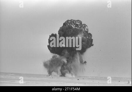 GUERRA DELLO YOM KIPPUR. UN MIG EGIZIANO IN FIAMME SUL FRONTE DI ...