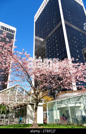 Vari luoghi e attrazioni riconoscibili di Vancouver in Canada parchi ...