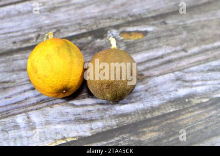 Limone con muffa, muffa è una delle strutture che certi funghi possono ...