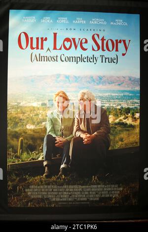 La nostra proiezione speciale Almost Fully True Love Story al Laemmle ...