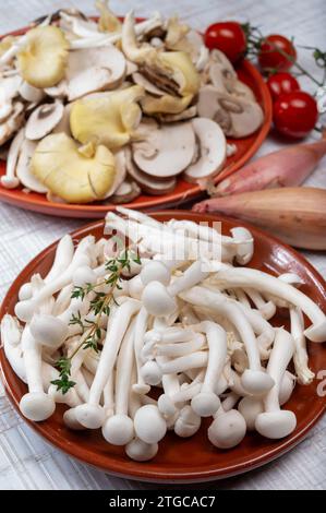 Funghi commestibili shimeji bianchi: Shimeji originario dell'Asia ...