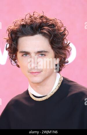 Timothee Chalamet, Warner Bros Pictures & Legendary Present the World ...