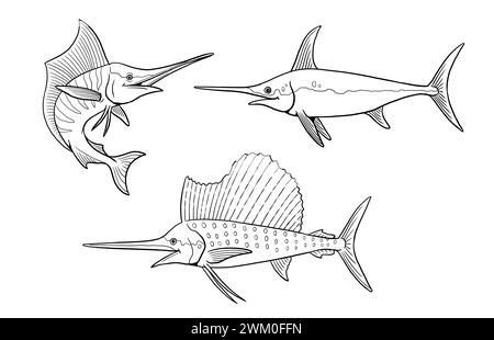 Set di diversi pesci spada da colorare. Modello per un libro da ...