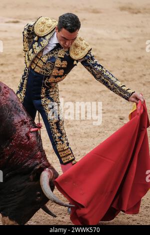 Il torero Octavio Chacón durante la corrida di Corrida Toros de Domingo ...