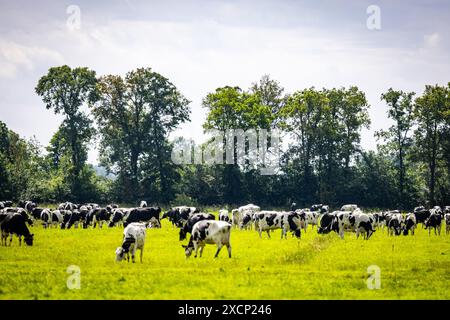 OTTOLAND - Una riserva naturale nei Paesi Bassi. La legge europea sul ...