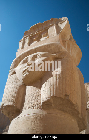 Statue di faraoni e dèi egiziani antichi. Vari geroglifici sulle pareti ...