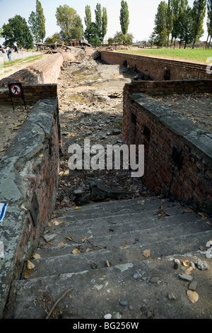 Le camere a gas nel campo di concentramento nazista di Auschwitz ...