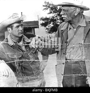 HUD, Paul Newman, Melvyn Douglas, Yvette Vickers, Brandon de Wilde ...