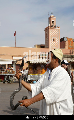 Il serpente incantatore in Djemaa El Fna a Marrakech Foto stock - Alamy