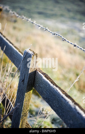 Recinzione con un filo spinato Foto stock - Alamy