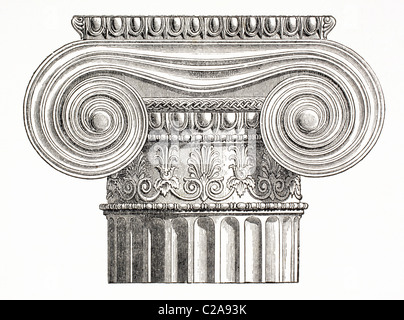 Ordine classico capitello ionico Illustrazione Vettoriale: 172480037 ...