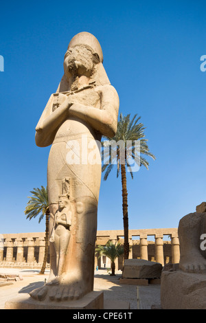 Tebe, Egitto, Africa Vista del secondo cortile del Ramesseum, Habitat ...