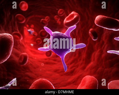 Le piastrine, artwork Foto stock - Alamy