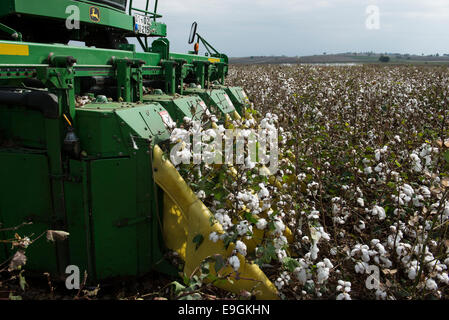 John Deere la raccolta di cotone macchina. Narrabri, western plains NSW ...