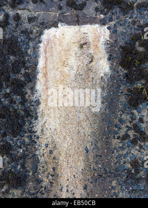 L'efflorescenza secondaria in una struttura di calcestruzzo che mostra ...