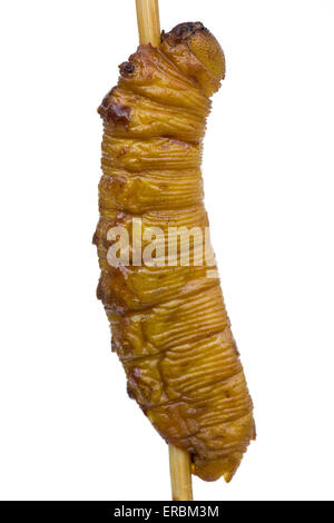 Kebab di Grub di carne cotta venduta al mercato notturno di Donghuamen ...