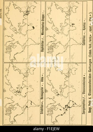 Die geographische Verbreitung der Oligochaeten (1903) - la ...