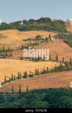 Cipressi lungo una strada con curve in Toscana nei pressi di ...