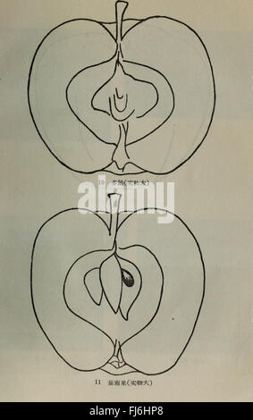 Dong bei guo ping pin dong bei guo ping pin zhong jie shuo ...