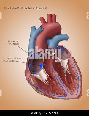 Illustrazione raffigurante il cuore del sistema elettrico. Sono ...