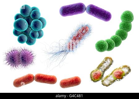 I batteri di diverse forme, computer illustrazione che mostra tre forme ...