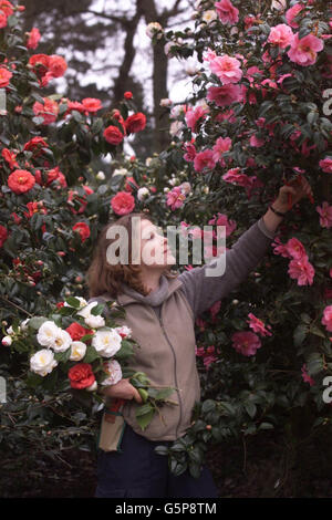 Rachel Martin, Head Gardener presso i giardini di Exbury, che scoprì ...
