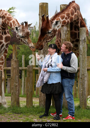 Gordon Brown con la moglie Nicole che alimenta le giraffe al Blair ...