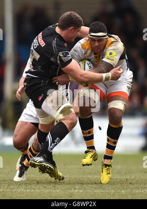 Exeter Chiefs Dave Ewers è affrontato da Northampton Santi Cobus ...