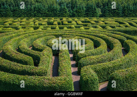 Cespugli di verde labirinto circolare, labirinto. Vista dall'alto Foto ...