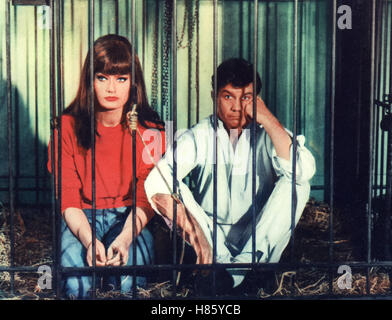 Agenten lassen morso, (MASQUERADE) GB 1964, Regie: Basil Dearden ...