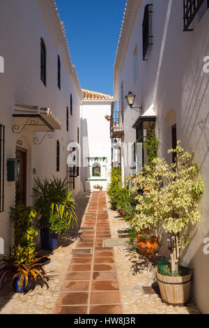 Tipico villaggio di strada con orange marbella costa del sol malaga ...