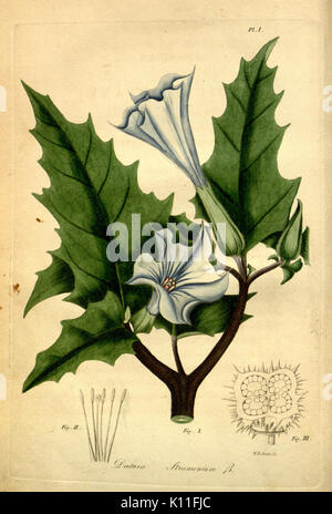 American Medical Botany, Boston: Cummings and Hilliard, 1817-1820 ...