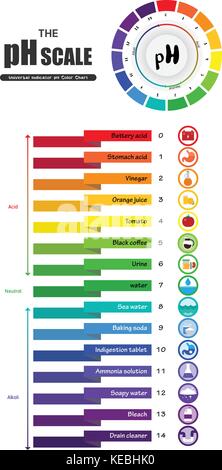 La scala di ph indicatore universale ph colore schema grafico acida ...