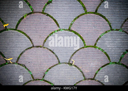 Pavimentazione decorativa piastrella sul marciapiede. sfondo, texture ...