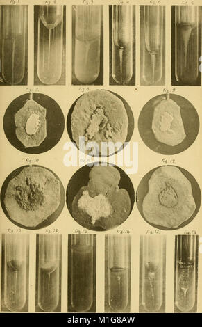 'Annales de Micrographie' (1894) è una rivista scientifica focalizzata ...