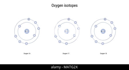 Gli isotopi di ossigeno la struttura atomica - le particelle elementari ...