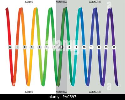 La misurazione della scala di pH, manometro, infographics. Il pH è una ...