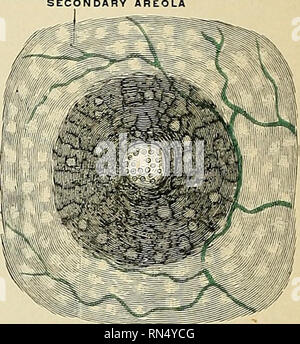 . Anatomia, descrittivo e applicata. Anatomia. L'arteria ascellare 635 ...