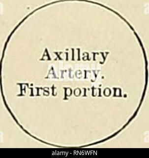 . Anatomia, descrittivo e applicata. Anatomia. L'arteria ascellare 635 ...