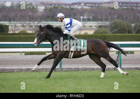 Hyogo, Giappone. 25 feb 2007. (L-R) Nishino dovuta (Masaru Honda), Eishin Dover (Hideaki Miyuki ...