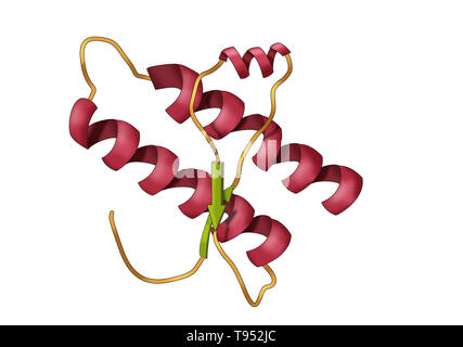 Malattie da prioni, encefalopatia spongiforme Foto stock - Alamy