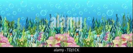 Corallo senza giunture. Alghe della barriera corallina dell'oceano ...