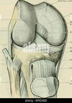 . Cunningham il libro di testo di anatomia. Anatomia. 376 IL SISTEMA ...
